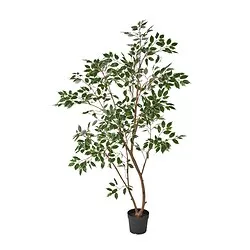 IKEA El Hierro - FEJKA planta artificial, interior/exterior/ficus benjamina