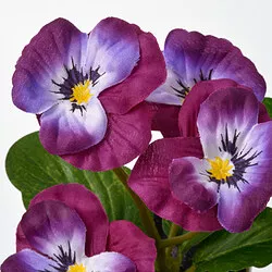 IKEA Tenerife - FEJKA artificial potted plant, indoor/outdoor/Pansy