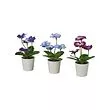 IKEA Tenerife - FEJKA artificial potted plant, indoor/outdoor/Pansy