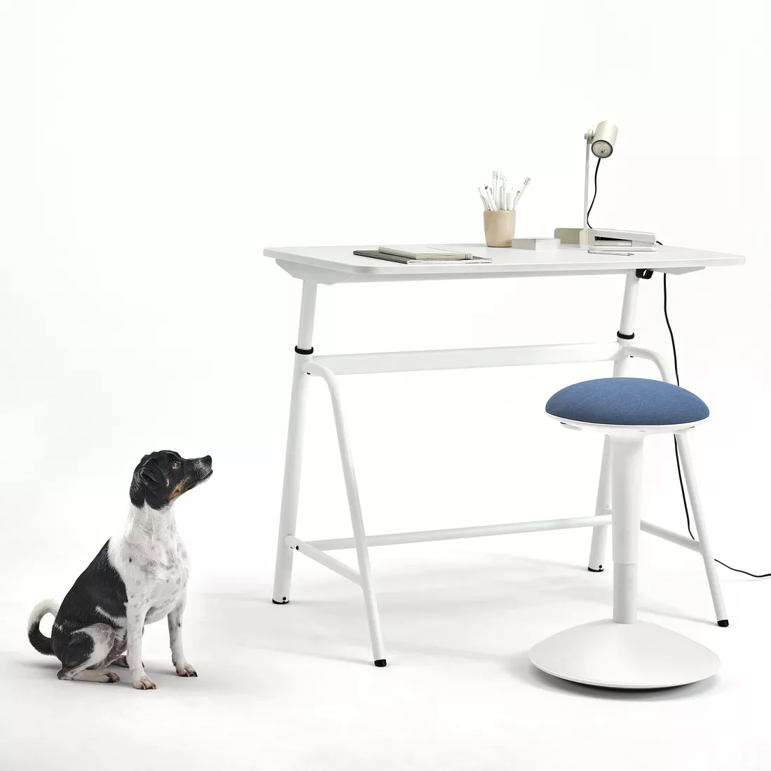 IKEA Puerto Rico - GLADHÖJDEN desk sit/stand, white, 39 3/8x23 5/8
