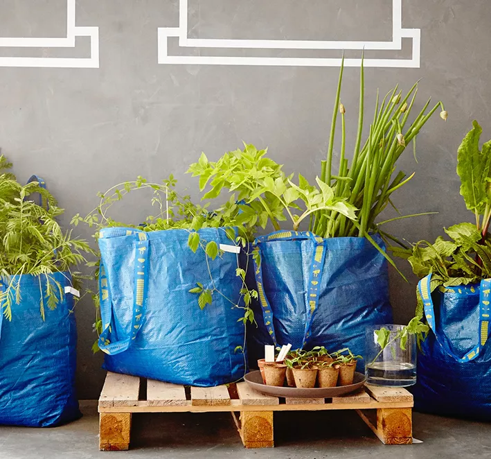 IKEA St. Maarten by IKEA Puerto Rico - FRAKTA IKEA