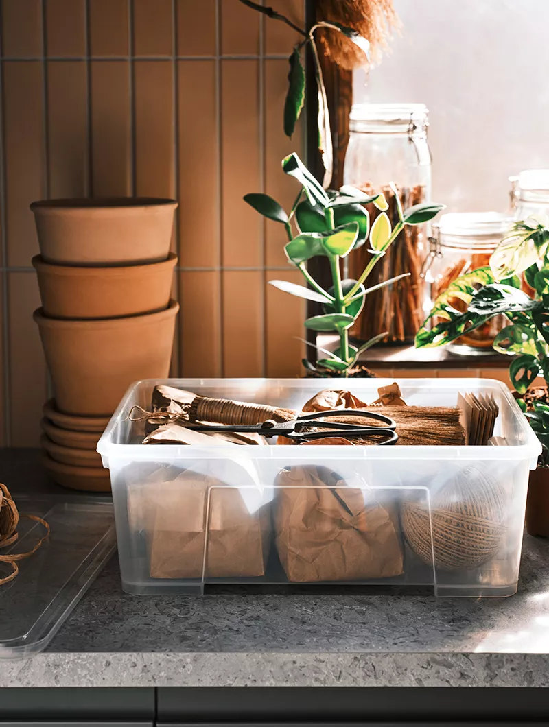 IKEA St. Maarten by IKEA Puerto Rico - How to care for your plants for ...